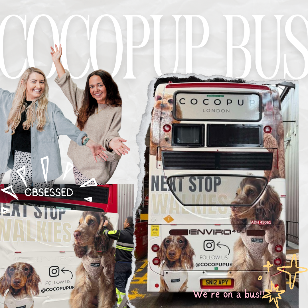 Cocopup London Launches Stylish Bus Campaign and Exciting £50 Voucher