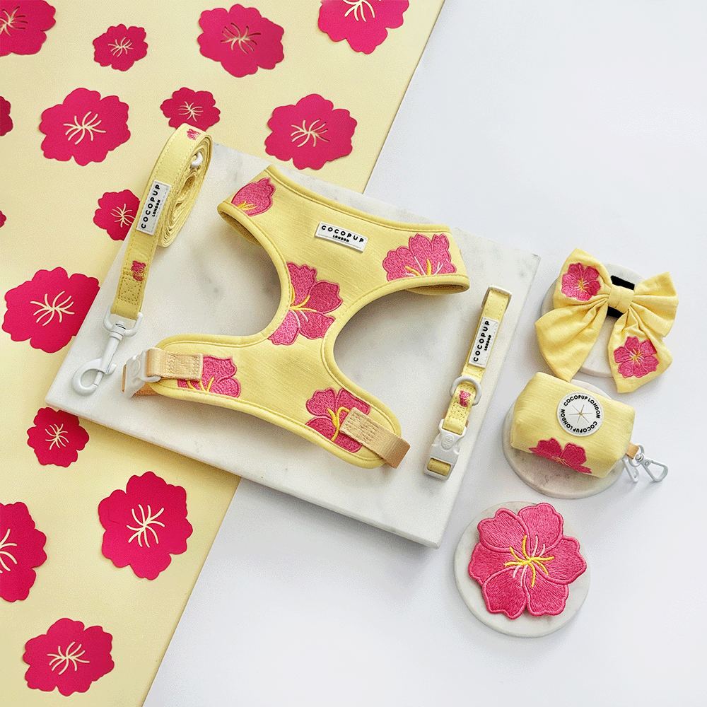 Pre-Made Dog Walking Bag Bundles | Cocopup London