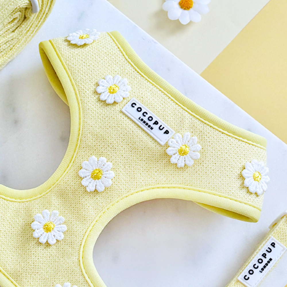 Summer Edit – Cocopup London