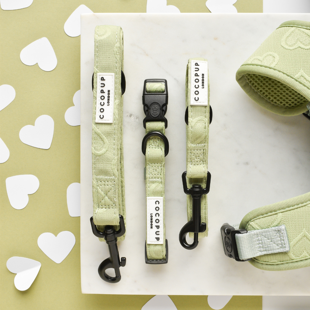 Puppy Lead & Collar Sets | Cocopup London