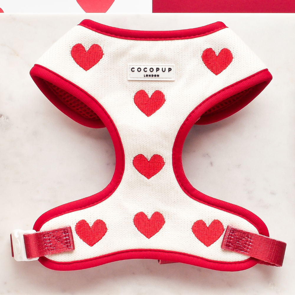 Hugs & Knitted Adjustable Neck Dog Harness | Cocopup London