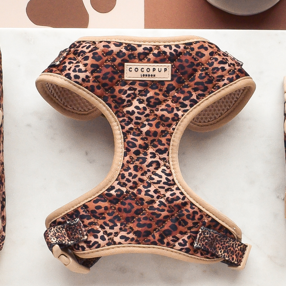 Quilted Leopard Pup Adjustable Neck Dog Harness | Cocopup London