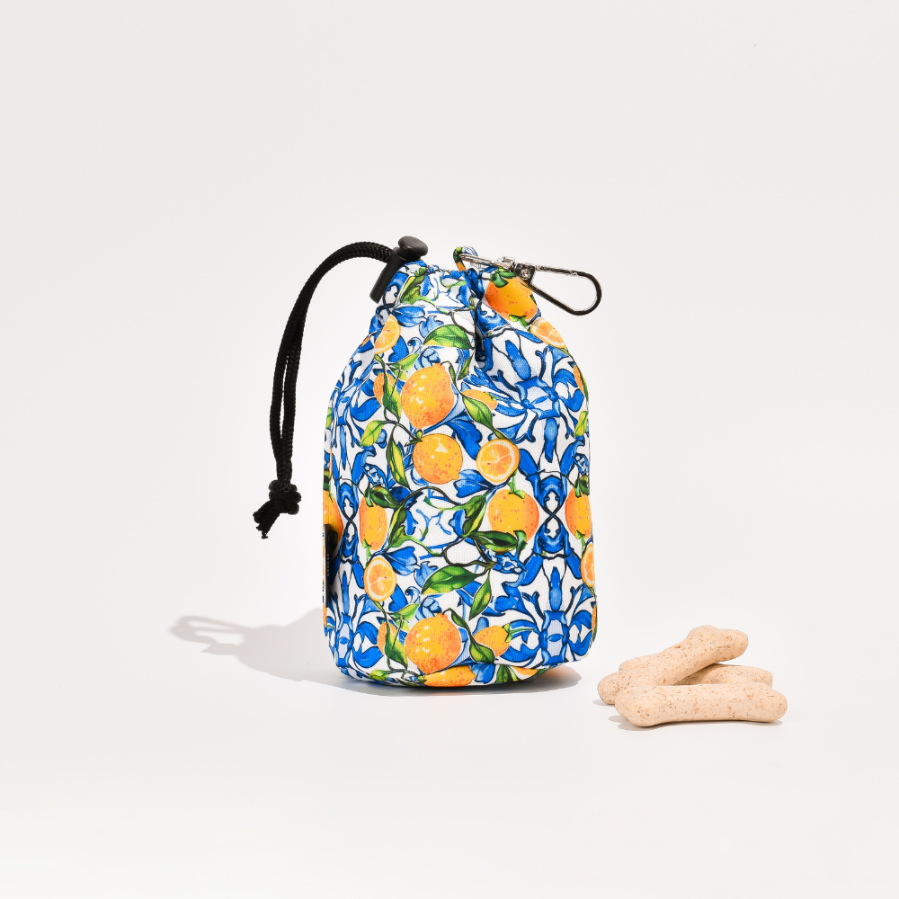 Drawstring Dog Treat Pouch - Amalfi Lemon | Cocopup London