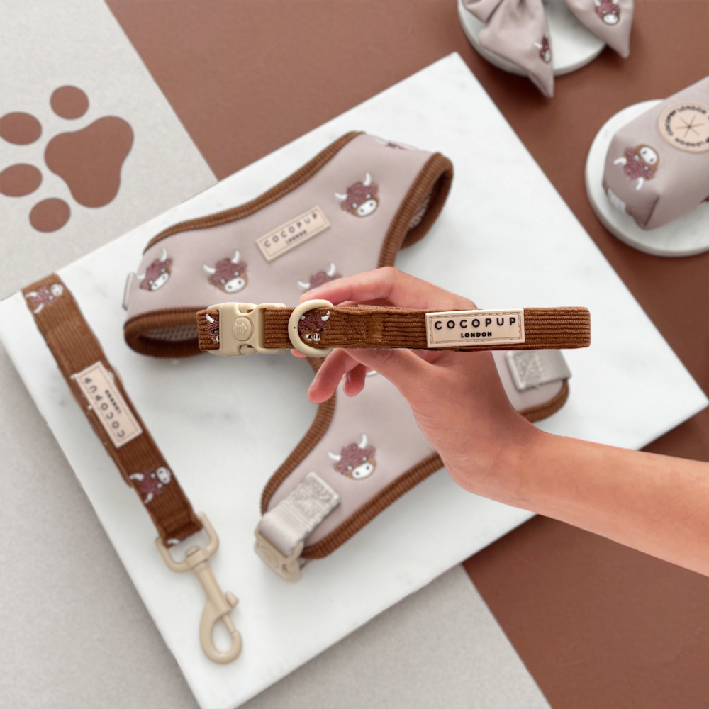 Harold the Highland Cow Dog Collar | Cocopup London