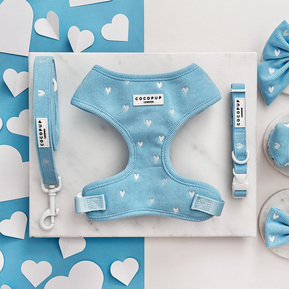Blue Heartstrings Cord Adjustable Neck Harness, Lead & Collar Bundle ...