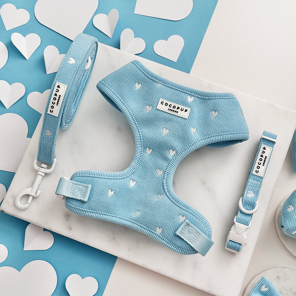 Blue Heartstrings Cord Adjustable Neck Harness, Lead & Collar Bundle ...