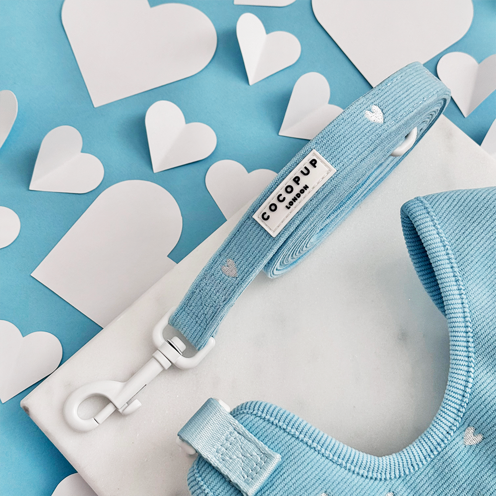 Blue Heartstrings Cord Dog Lead | Cocopup London