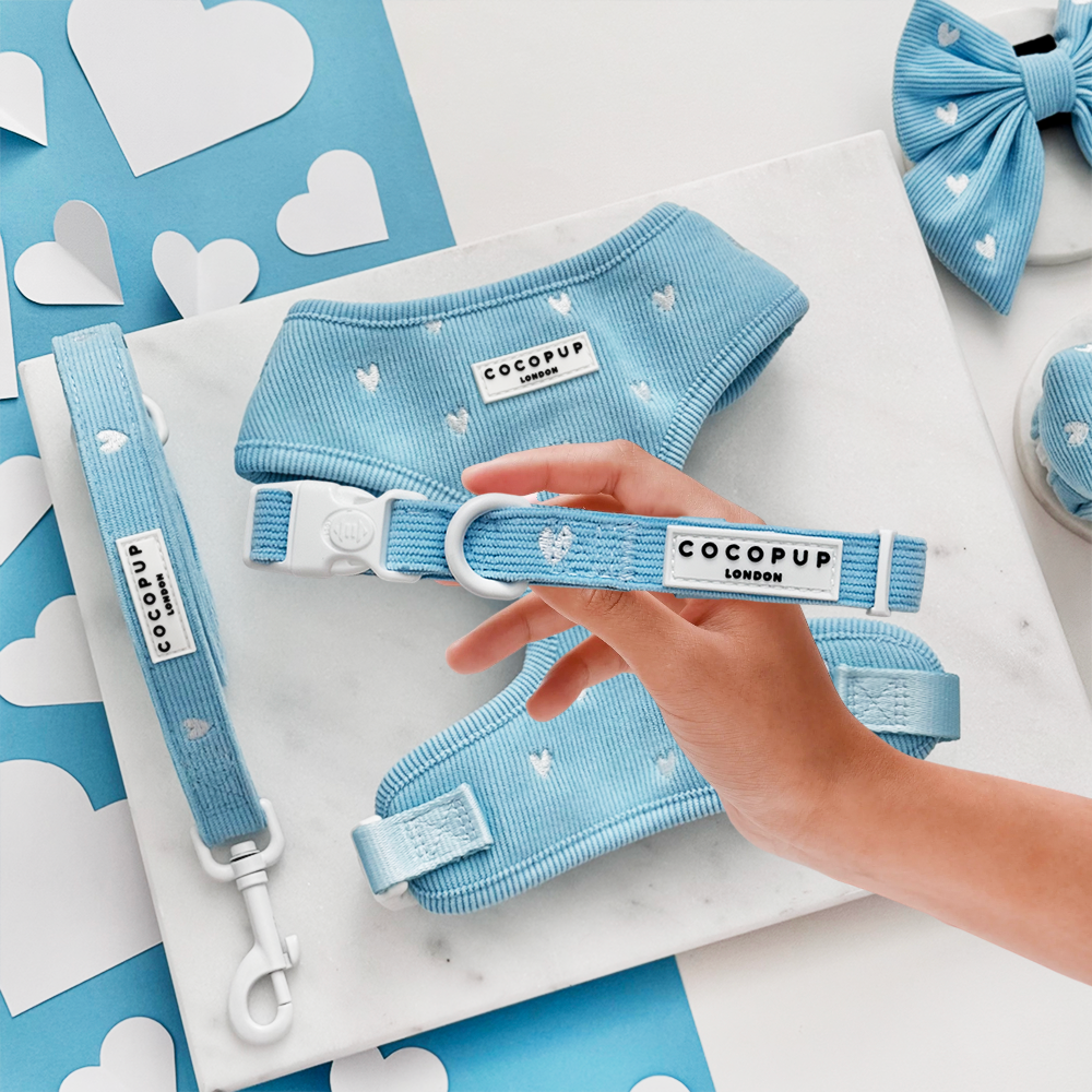 Blue Heartstrings Cord Dog Collar | Cocopup London