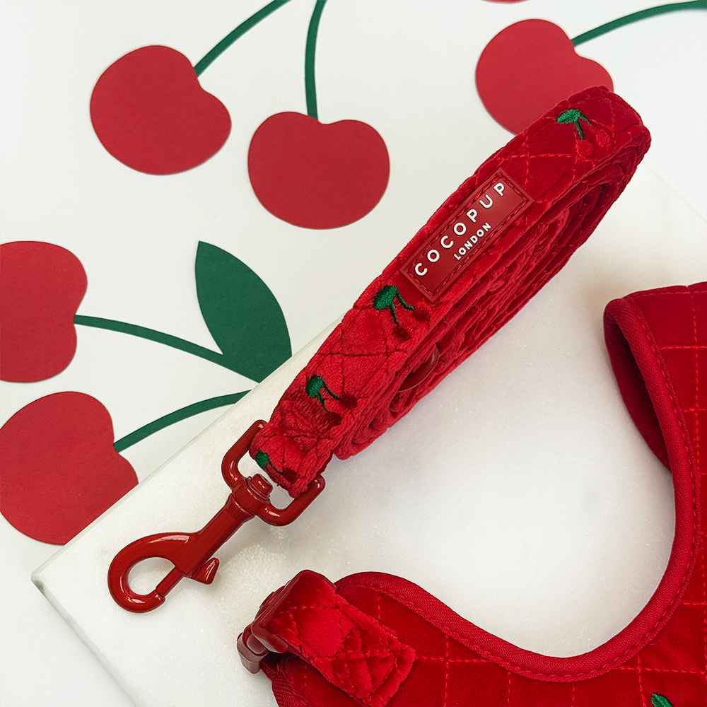 Cherry Velvet Crush Dog Lead | Cocopup London