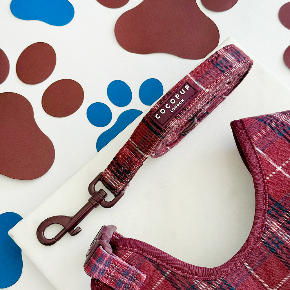 Mulberry Plaid Dog Lead | Cocopup London
