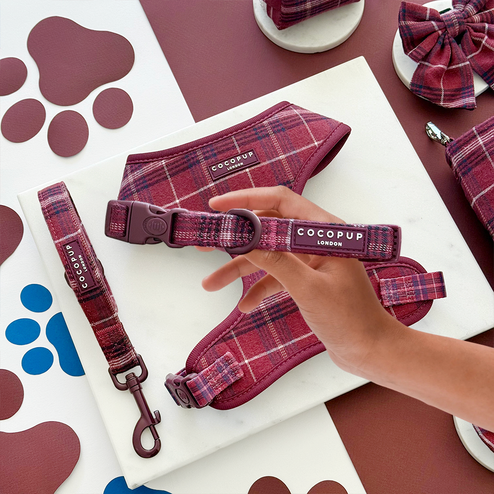 Mulberry Plaid Dog Collar | Cocopup London