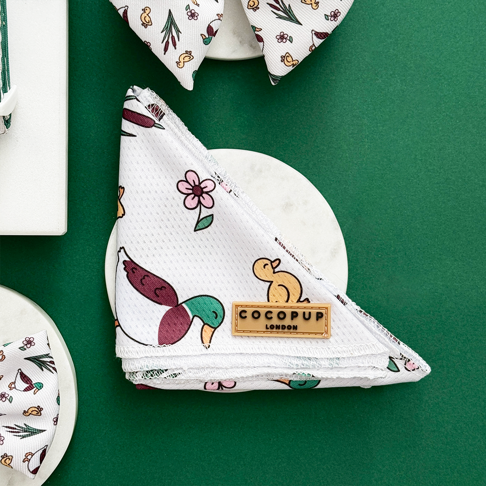 Puddle Pup Dog Bandana | Cocopup London