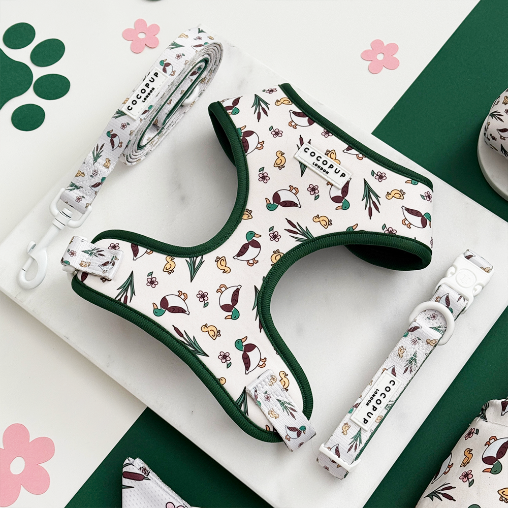 Puddle Pup Adjustable Neck Dog Harness, Lead & Collar Bundle | Cocopup ...