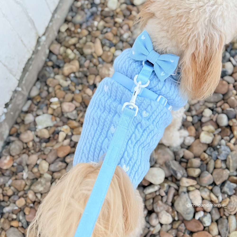 Blue Heartstrings Cord Dog Lead | Cocopup London