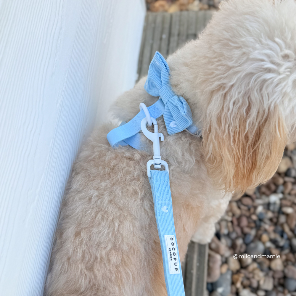 Blue Heartstrings Cord Dog Lead | Cocopup London