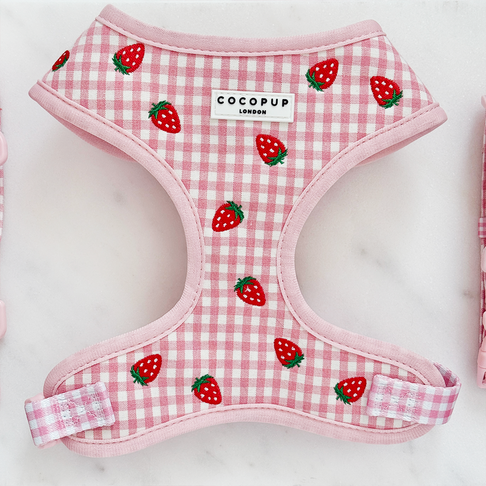 Strawberry Picnic Pup Adjustable Neck Harness | Cocopup London