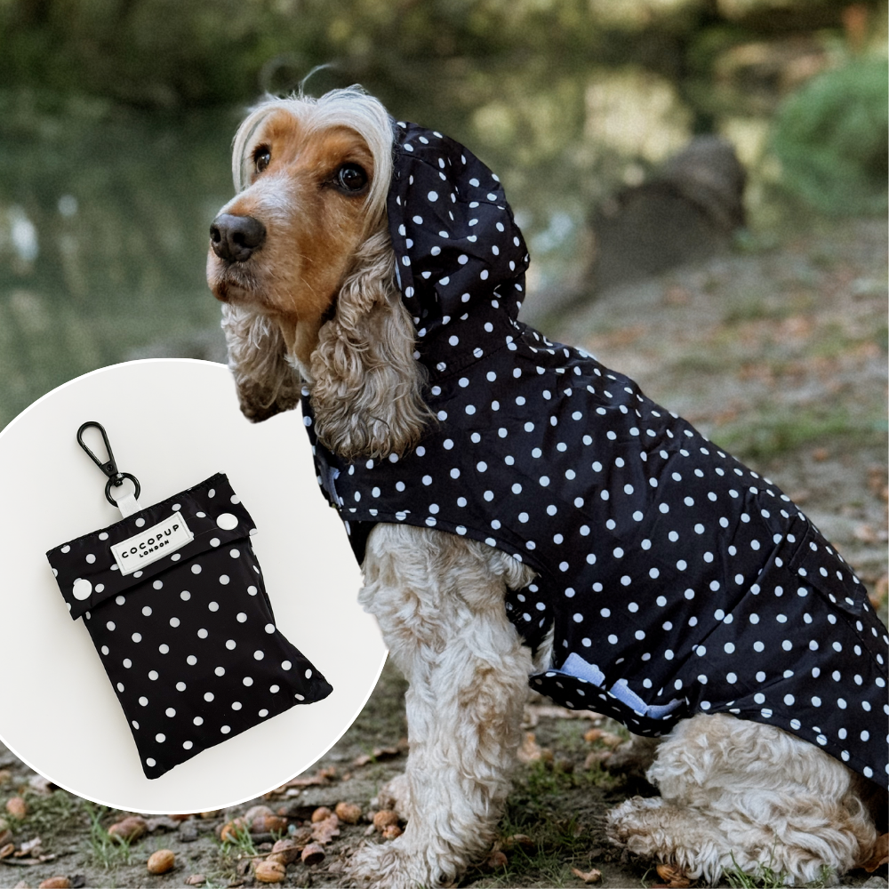 Dog Raincoat - Black Polka Dot | Cocopup London