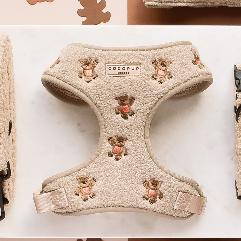 Embroidered Teddy Adjustable Neck Dog Harness | Cocopup London