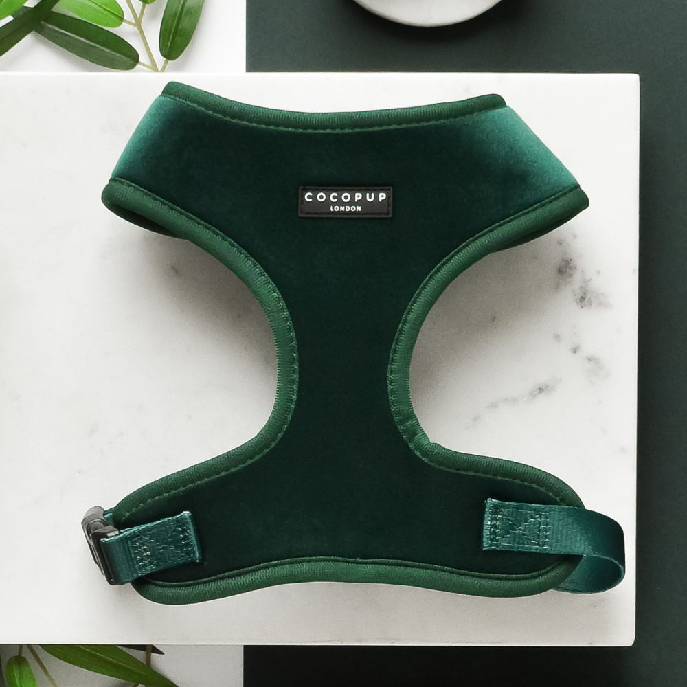 LUXE Velvet Adjustable Neck Dog Harness - Forest Green | Cocopup London