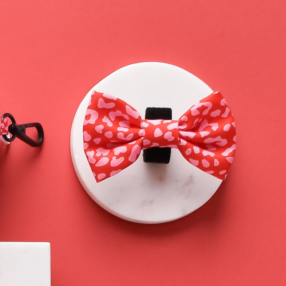 Red & Pink Leopard Dog Bow Tie | Cocopup London
